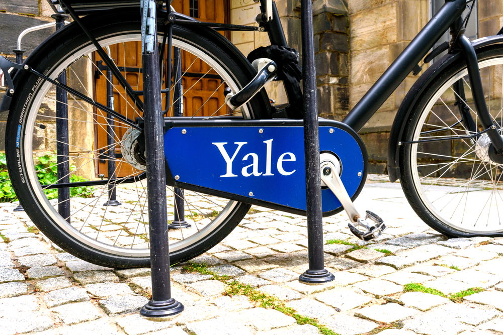 A Swiss family office believes the Yale model is the way forward ...