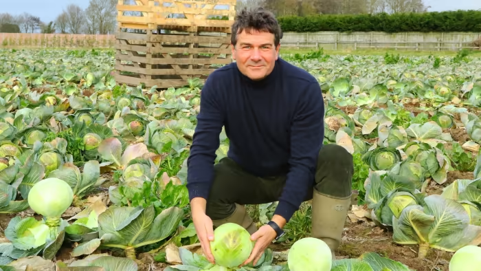 The Cabbage King - A fourth generation innovation story | Family Capital
